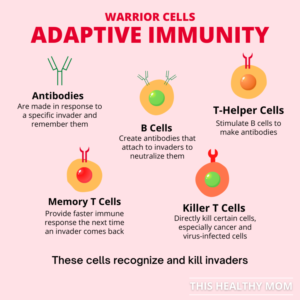 How to Build a Strong Immune System in Children - This Healthy Mom