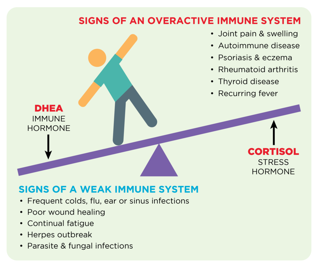 How to Build a Strong Immune System in Children - This Healthy Mom